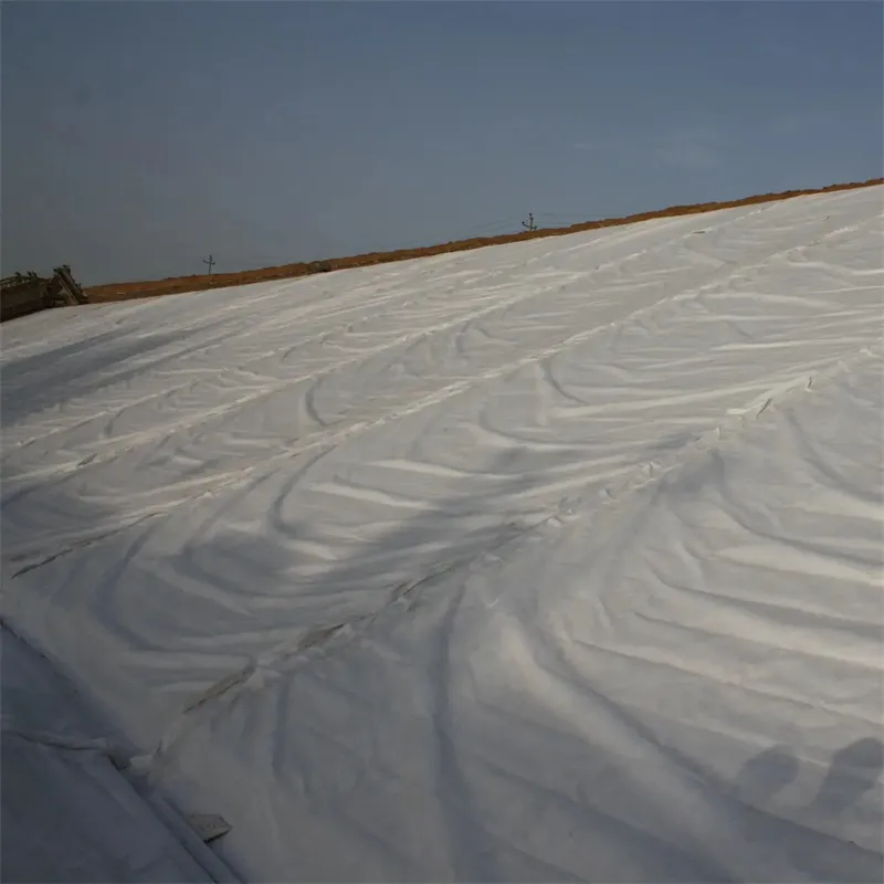 Discover Long Fibre Filament Needle Punched Geotextile Solutions