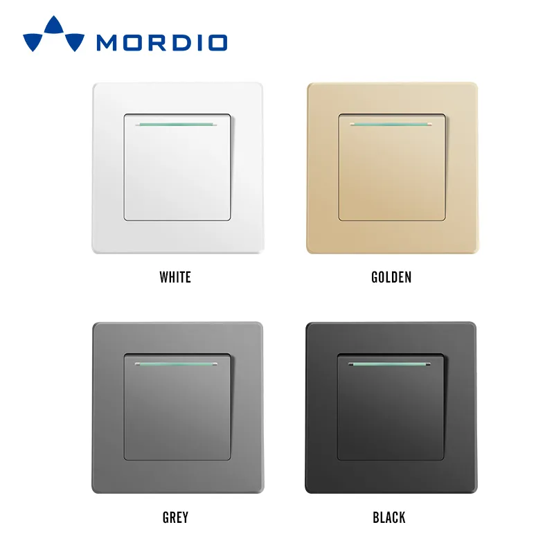 A4 Dubai GCC 13A switched socket