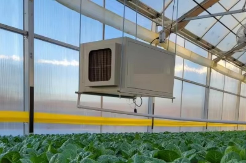 Greenhouse Dehumidifier, Glasshouse Dehumidifier, Best Dehumidifier