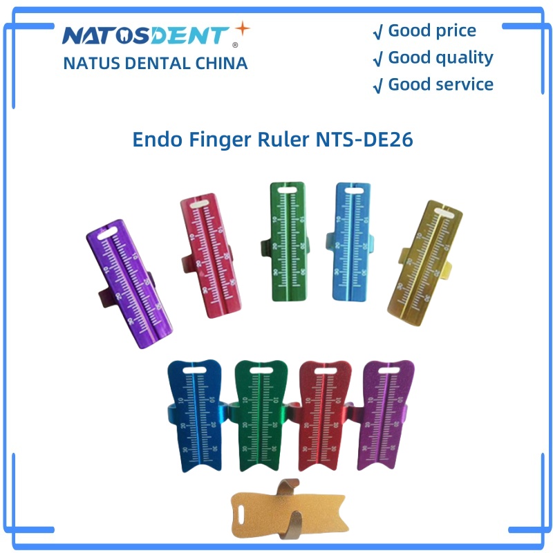 endo measure ruler