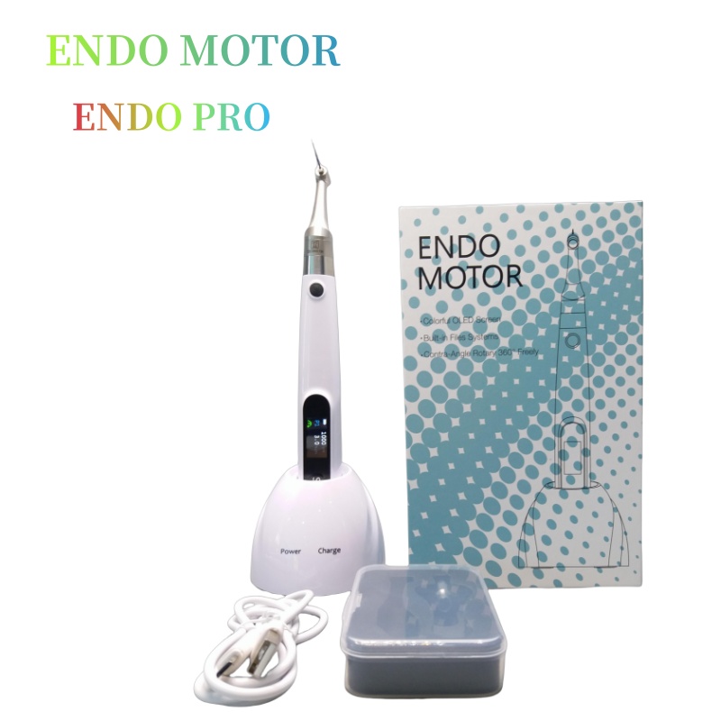Professional Dental Endomotor Endo X China Supply