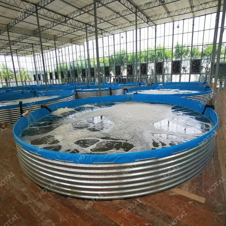 Crab Recirculating Aquaculture System Source manufacturer