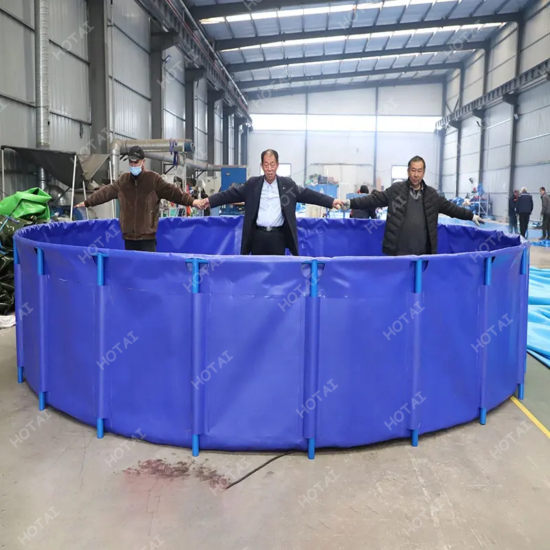 Large Plastic Fish Pond Factory wholesale