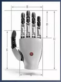 Mechanical Robot Hand,Manipulator Arm Hand,Bionic Hand
