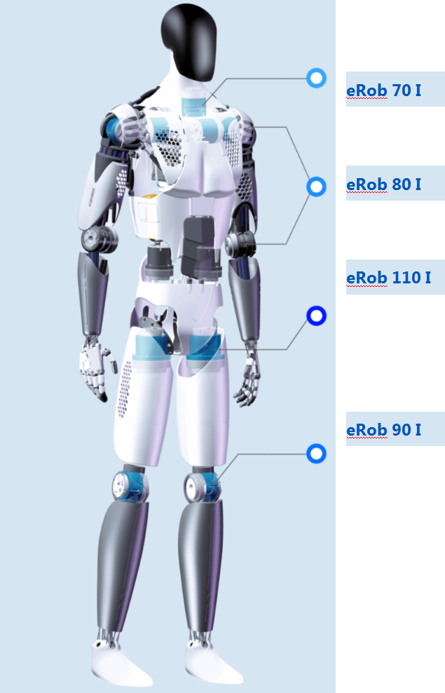Arcsec Drive in Humanoid Robots