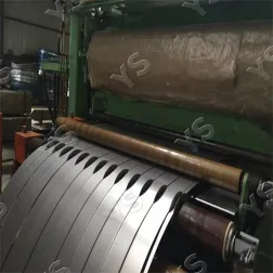 Electro Galvanized Steel