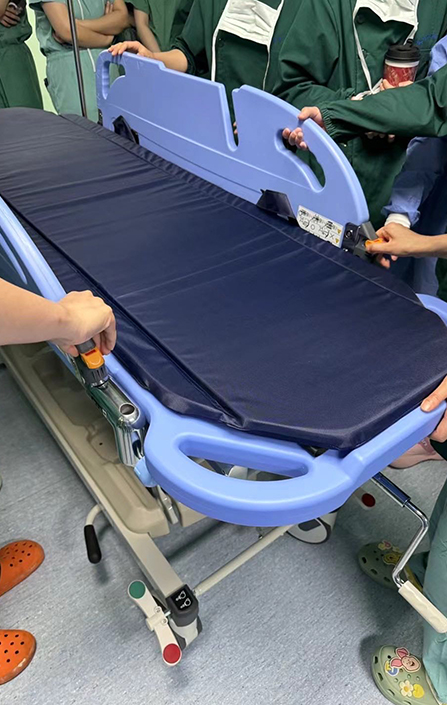 Case of transfer bed in china