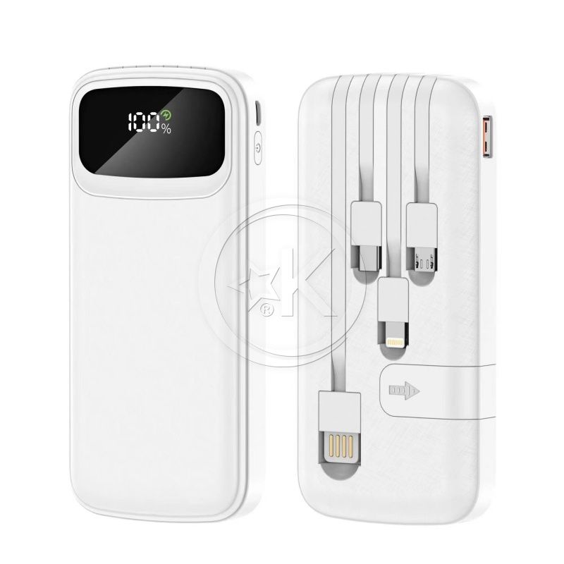 Introducing - The Ultimate Smart Charging Power Bank