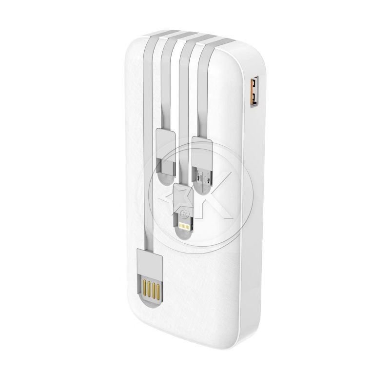 Introducing - The Ultimate Smart Charging Power Bank