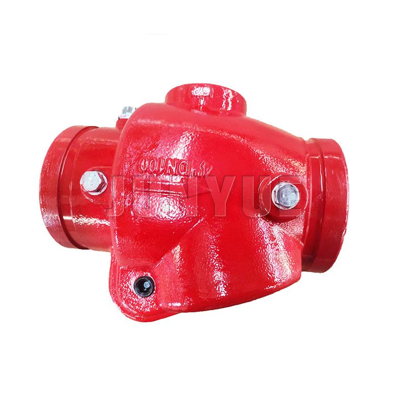 Check Valve