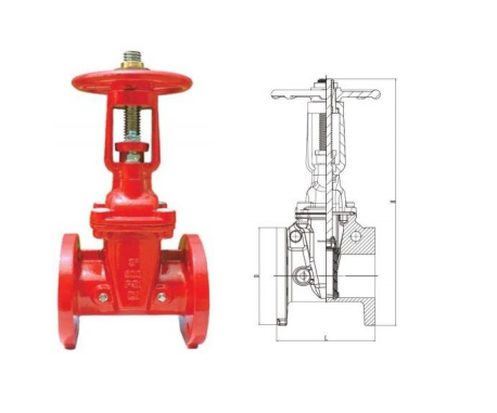 Flanged OS&Y gate valve PN16
