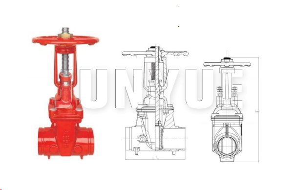 Flanged Outside Screw and Yoke Gate Valve PN16