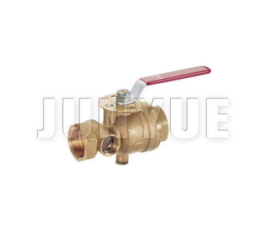 Test and drain valve