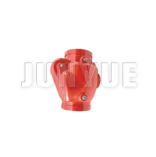 Grooved swing check valve