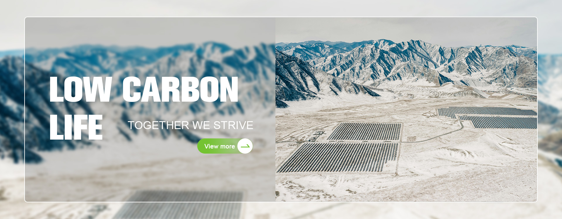 Latest Environmental News