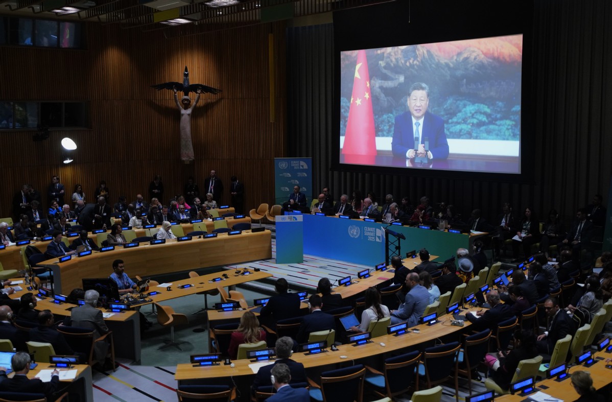Xi announces China's 2035 Nationally Determined Contributions to beef ...