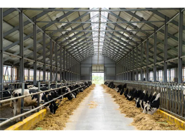 Tianying Group: Steel Structure Engineering, PEB Engineering Building ...