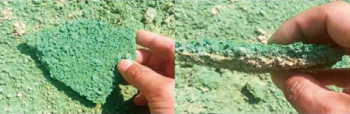 Crust type dust suppressant