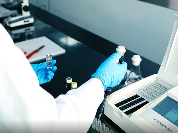 About Farm Keeper: Leading Integrated Food Enterprise | High-Quality ...