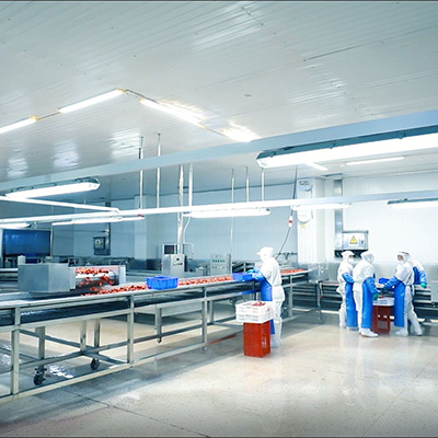 About Farm Keeper: Leading Integrated Food Enterprise | High-Quality ...