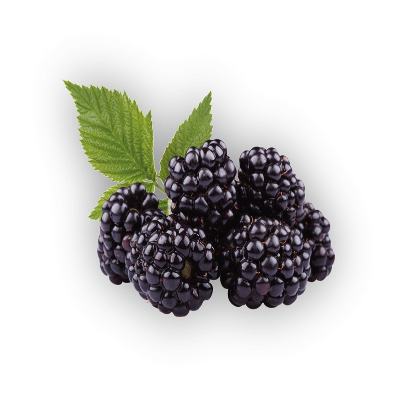Healthy Frozen Blackberries