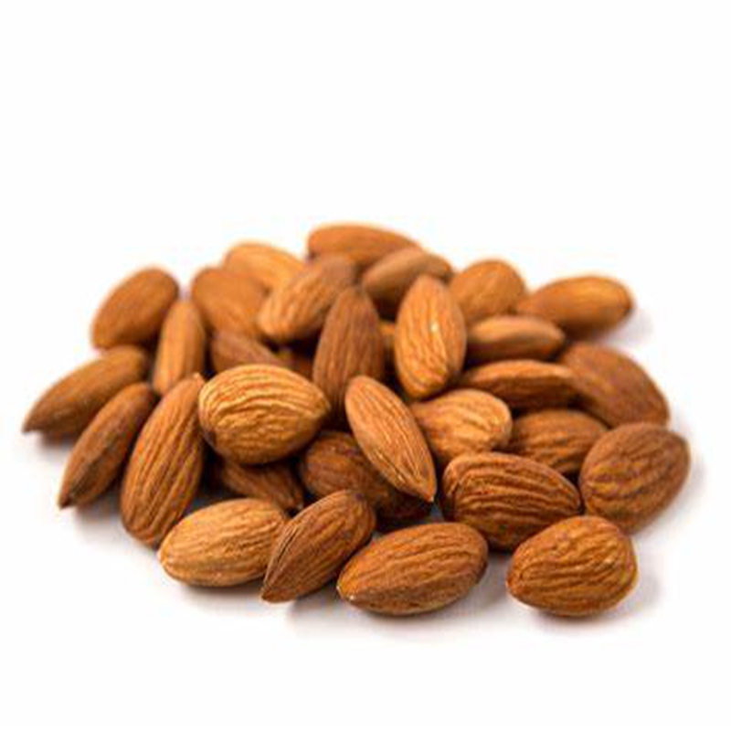 Healthy Almond Kernels Delicious and Nutritious