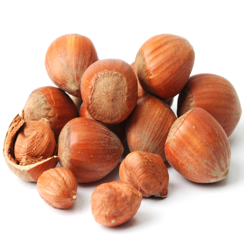 Natural Hazelnut Inshell - Perfect Healthy Snack