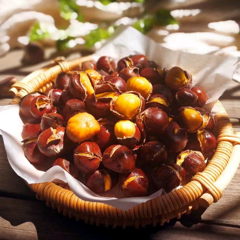 Chestnut, Nut, Frozen Chestnut