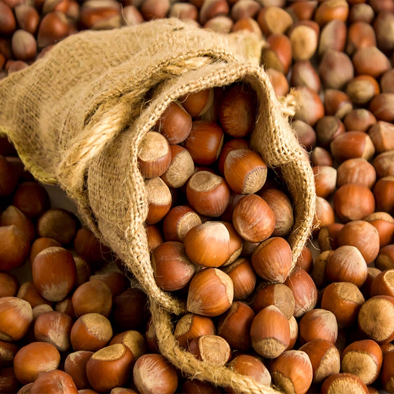 Natural Hazelnut Inshell - Perfect Healthy Snack