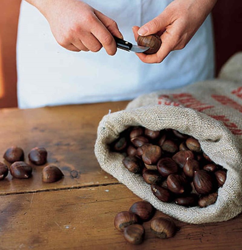Chestnut, Nut, Frozen Chestnut