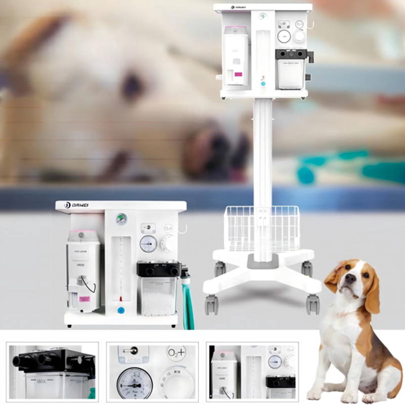 Veterinary Inhalation Anesthesia Machine