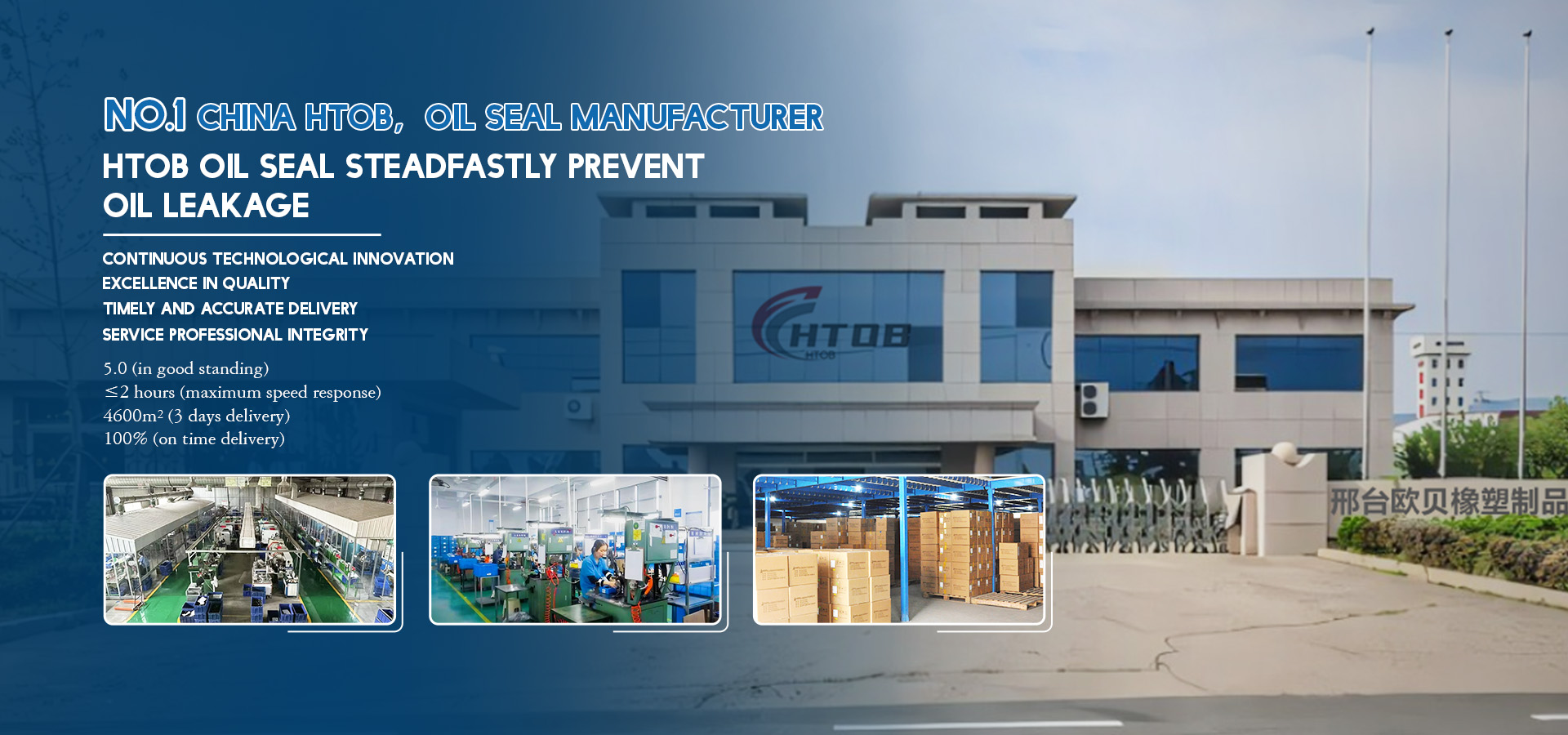 Washing Machine Oil Seals, Washer Seal - Htob