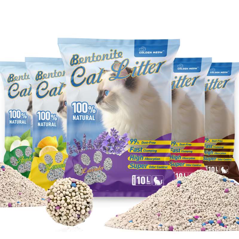 Premium Cat Litter Solutions for Odor Control & Clumping
