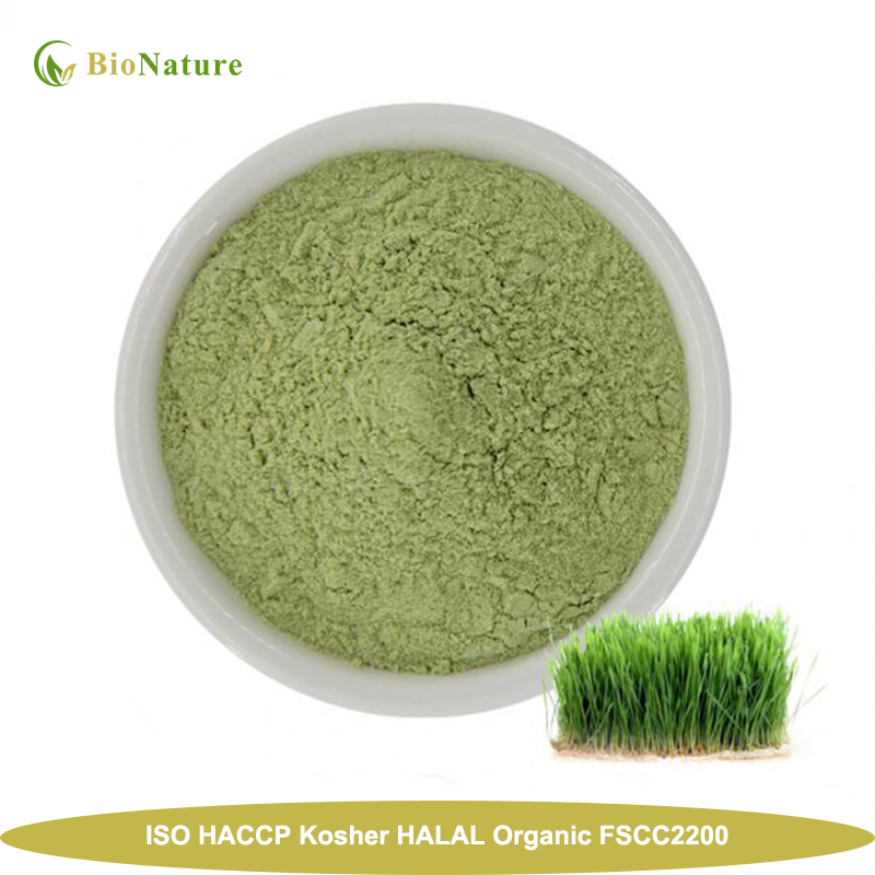 Wholesale Barley Grass Juice Powder by BioNature