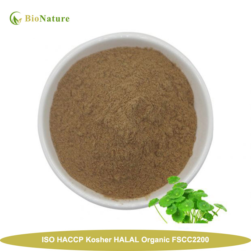 Premium Centella Asiatica Extract Powder for Skin Health
