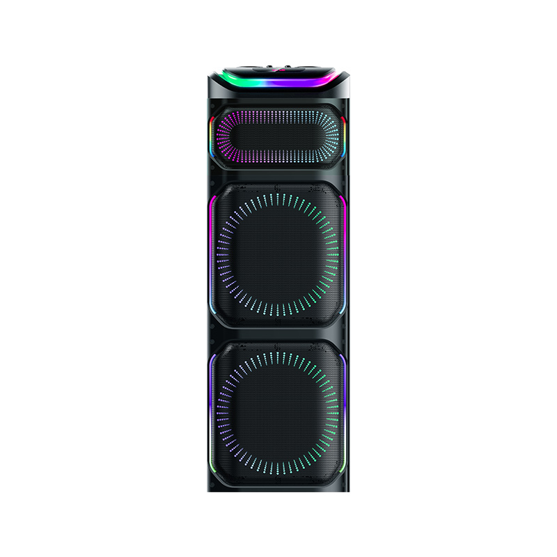 Yidi Dual 12 Inch DJ Speaker with Big Power
