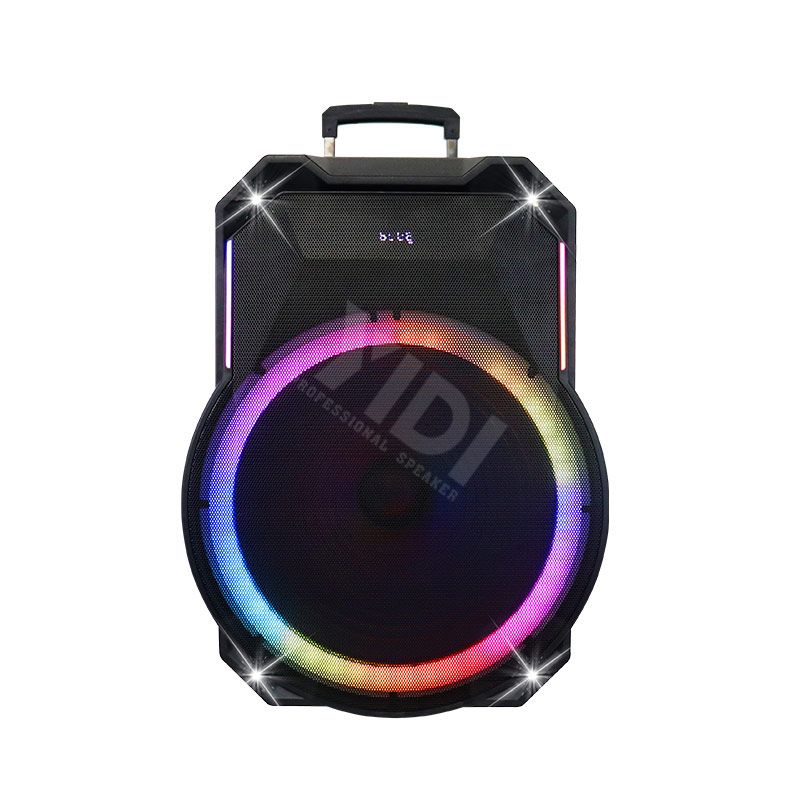 What is the difference between DJ speakers and regular speakers?