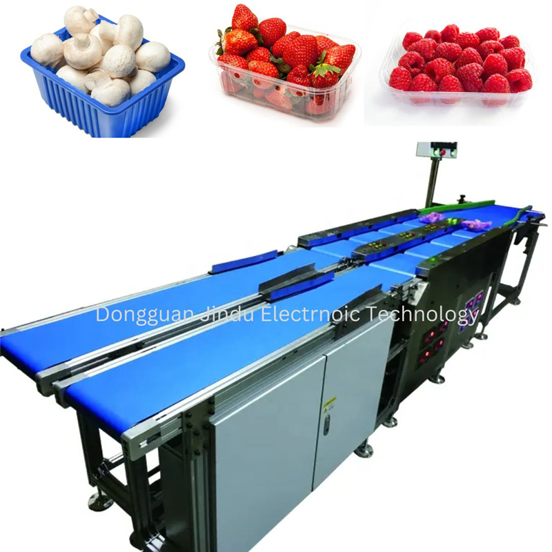 Weighing Packing lines for soft fruits | Packing line for Soft fruits ...