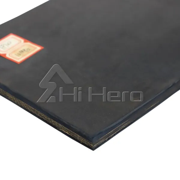Cold Resistant Conveyor Belt | HIHERO