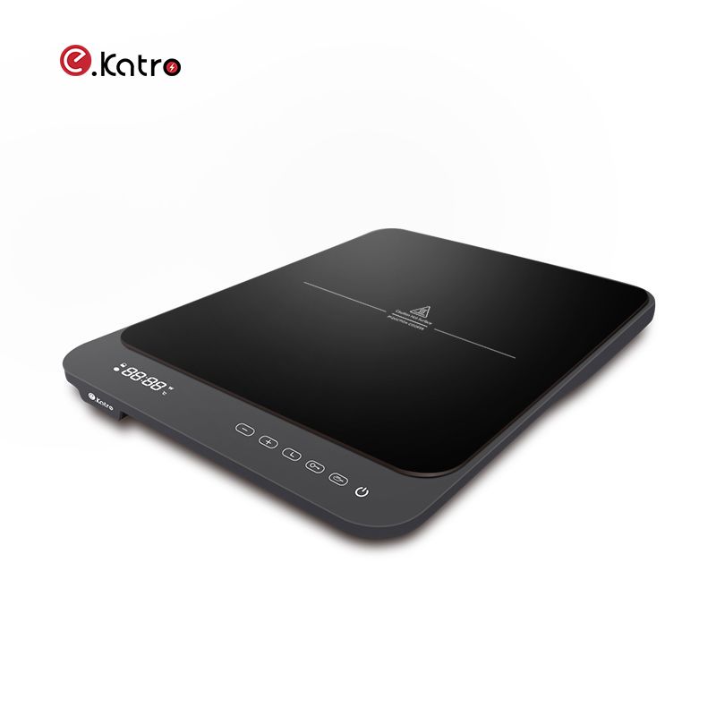 Induction Cooker Manufacturer