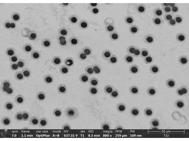 DNA Sample Collection Card, Forensic Evidence Collection Kit Supplier