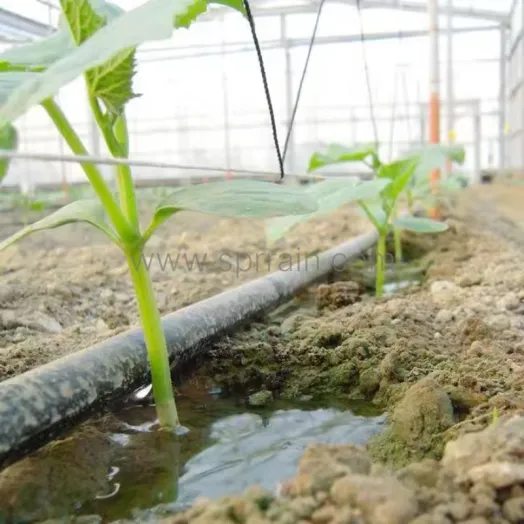 Agricultural Irrigation Drip Irrigation Pipe with Inner Cylindrical Dripper