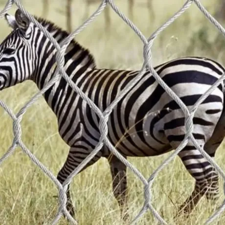 wire rope zebra mesh, stainless steel wire rope woven mesh