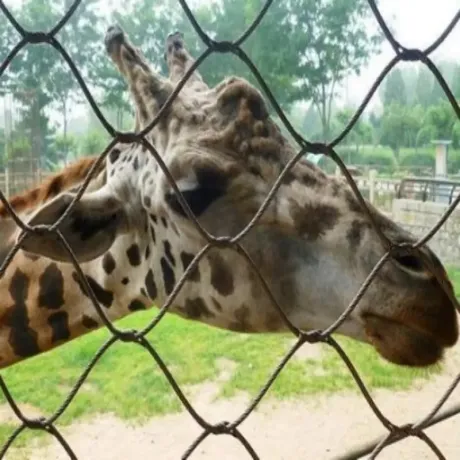 Deer Enclosure Mesh Supplier, Manufacturer - Jinjue