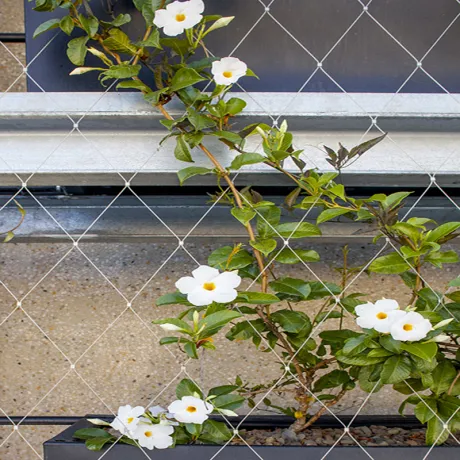 stainless steel rope mesh, green wall wire mesh supplier, manufacturer