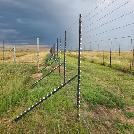 Electric Security Fence-Perimeter Security Solutions