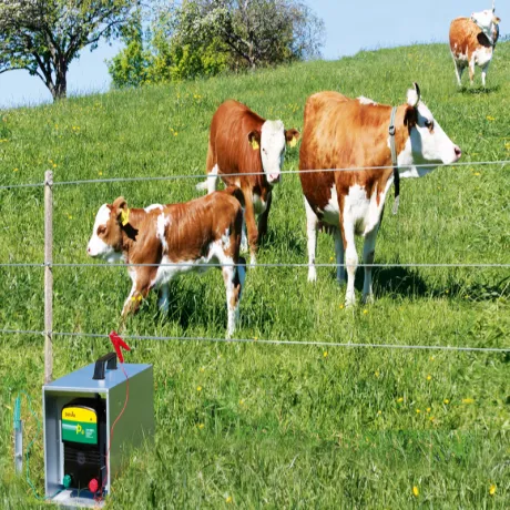 Electric Fence for Farm Animals – Secure Animal Containment & Exclusion