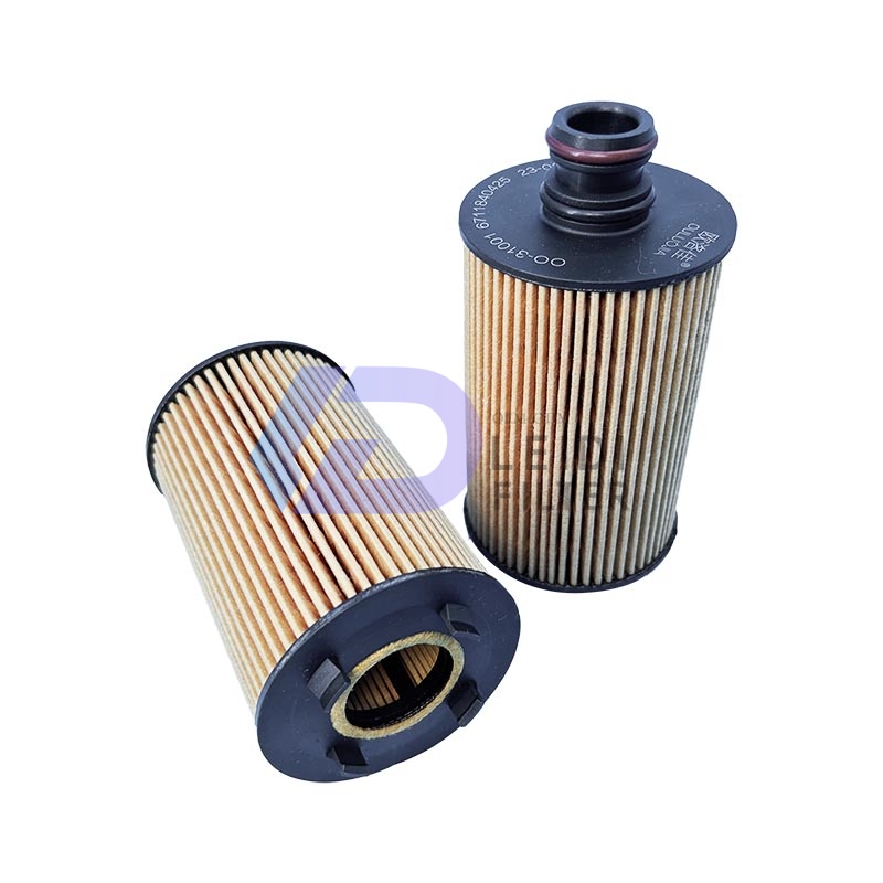 Automobile oil filter 6711803009 - Leidi Filter