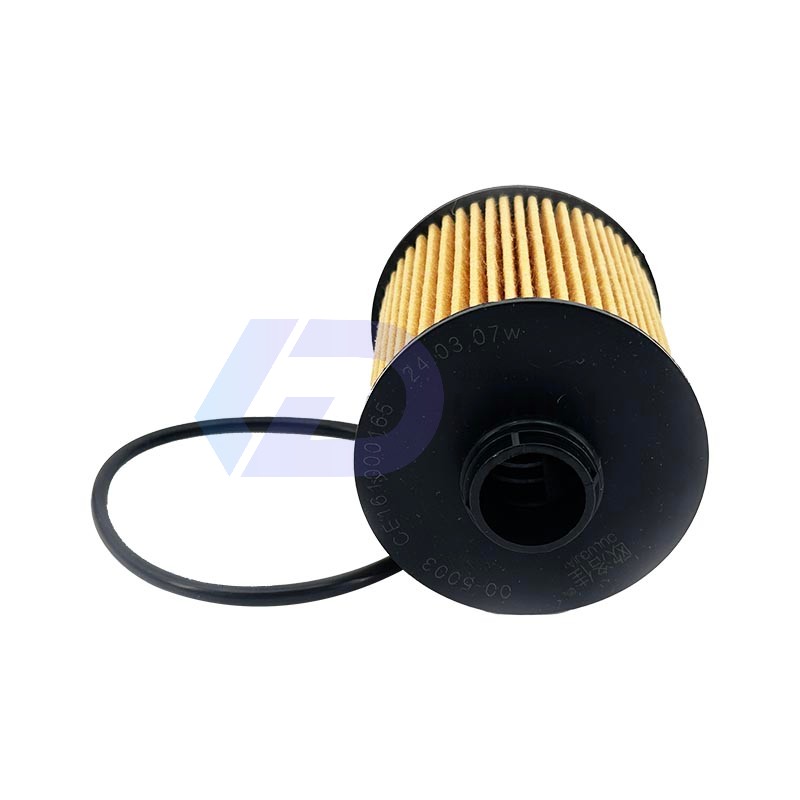 Automobile oil filter CE161000165 - Leidi Filter