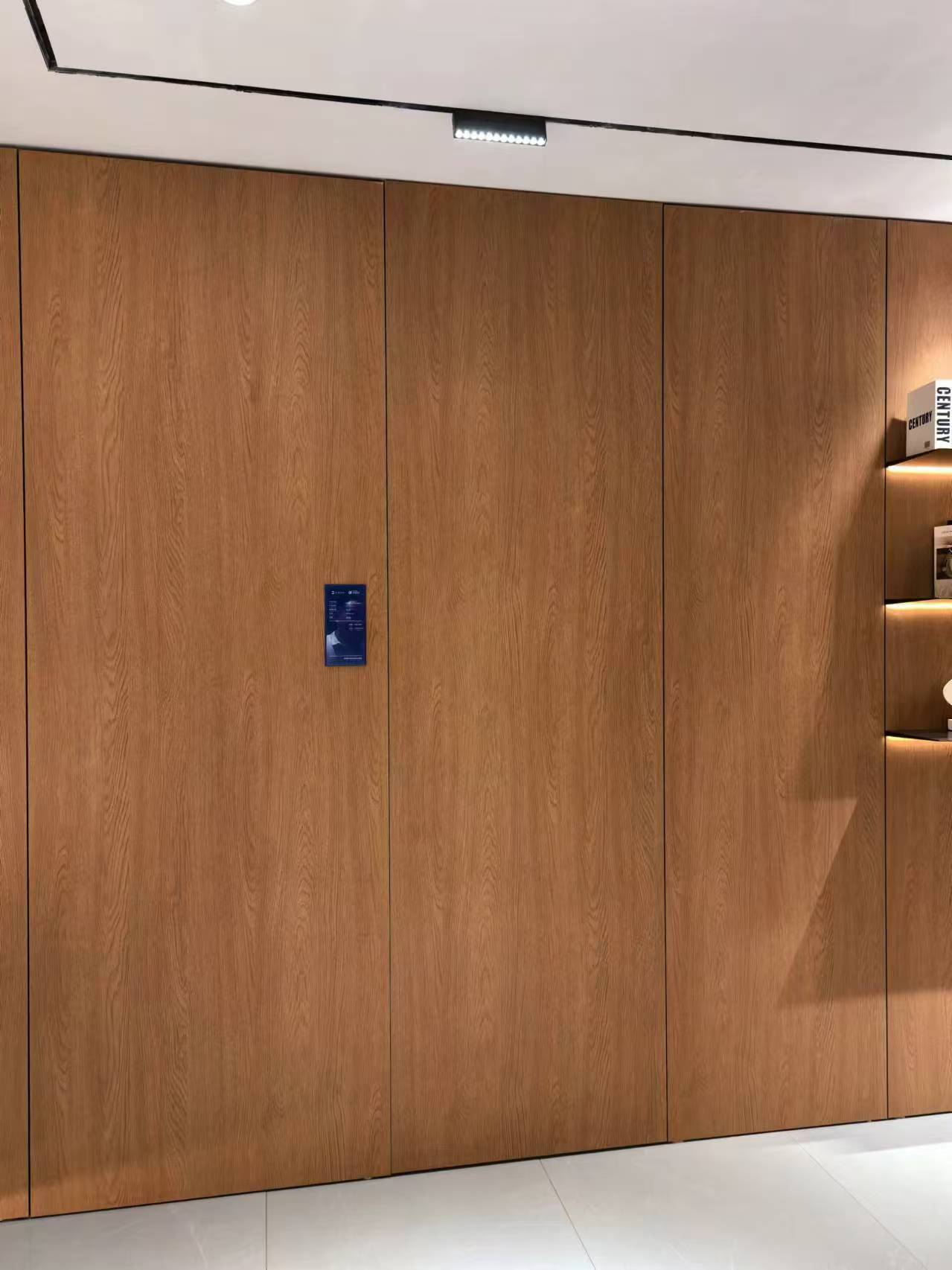 Invisible Door - Customizable Size, Alloy & Wood Veneer, Ideal for ...